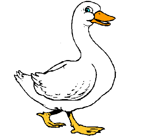 Trabajo OCA interactiva: noviembre 2015