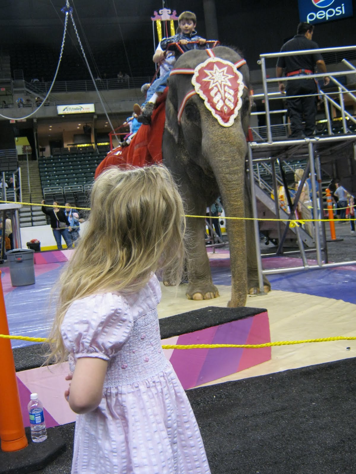Eliana's Elephants: Eliana Enjoys Her First Circus Elephant Ride