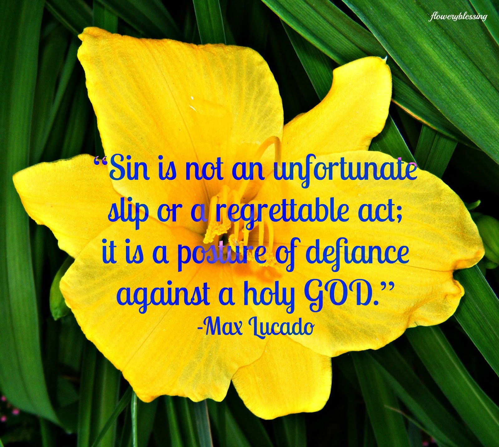Flowery Blessing: “Sin is not an unfortunate slip or a regrettable act ...