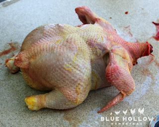 Processing Chicken: Real Life Farm to Table