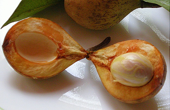 LUCKY SPICES EXPORTS: JATHIKA