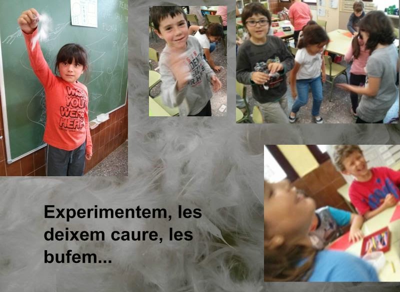 Regalims de colors: COM CAU UNA PLOMA?