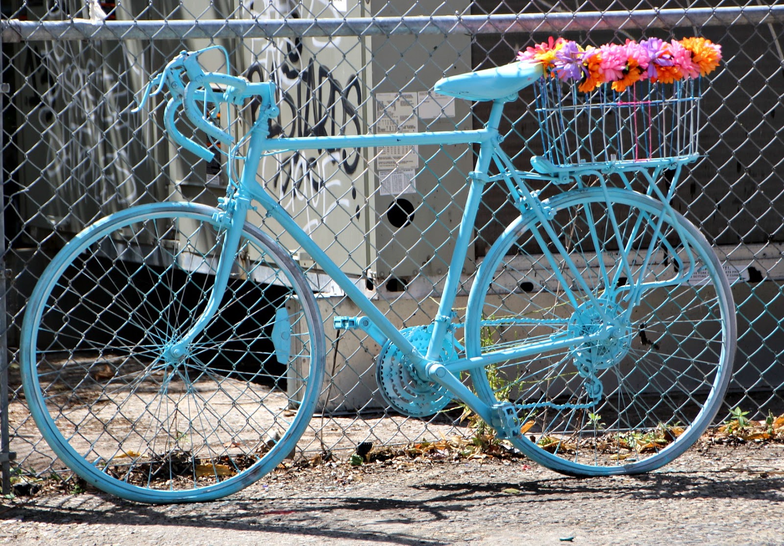 JUNK BOAT TRAVELS: Photo Friday Finds