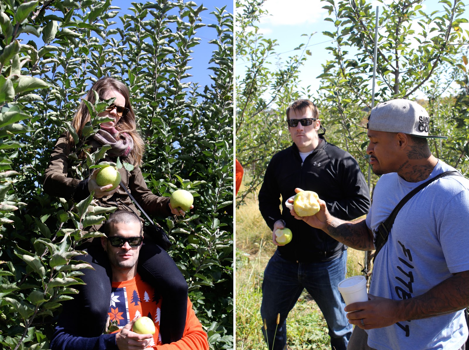 Marissa Says... | A Lifestyle Blog: Family fun day at Highland Orchards