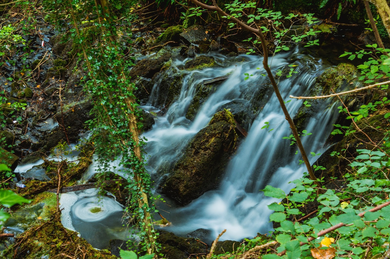 Yorkshire Waterfalls: Harmby Falls