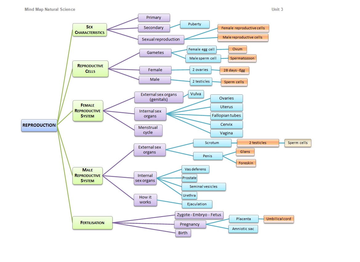 Con T de Teacher: MIND MAP - UNIT 3 - REPRODUCTION