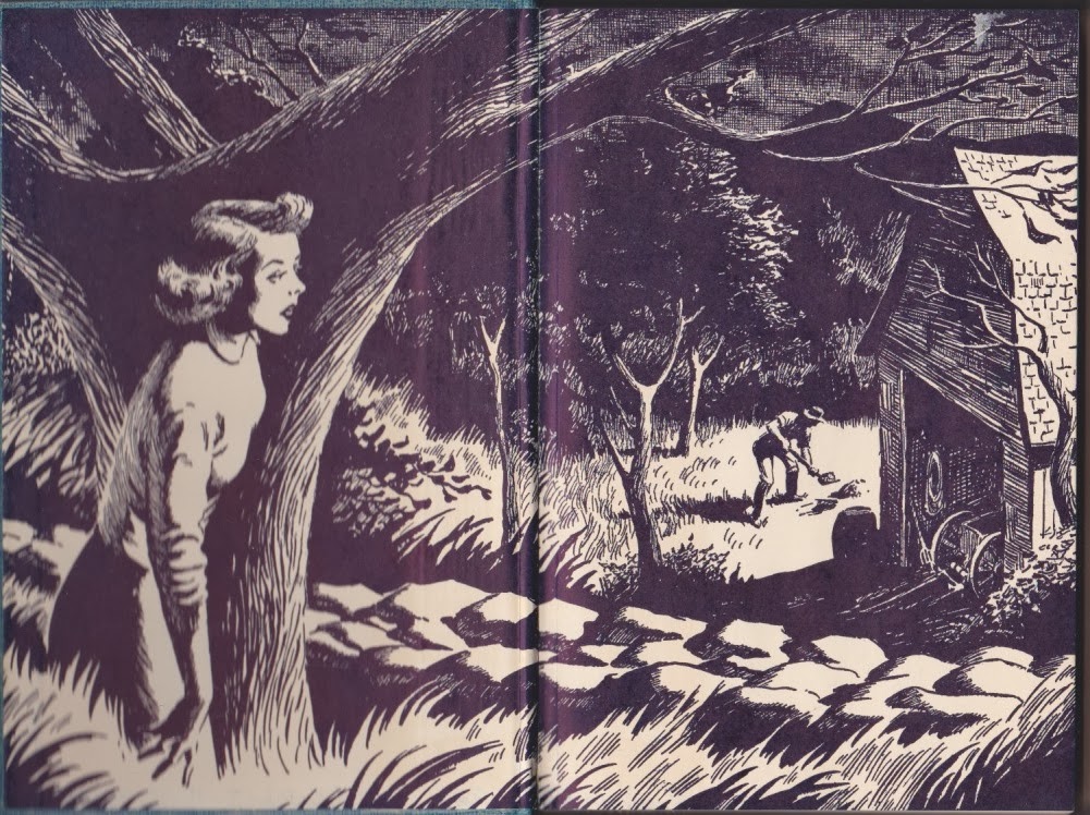 Mystery Playground: Nancy Drew End Papers