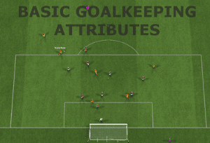 Football Manager Goalkeeper Attributes • Passion4FM