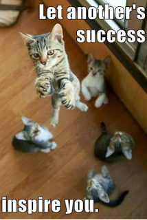 Growth Mindset & Feedback Cats: Final Wrap-Up for Fall 2015: Highlights ...