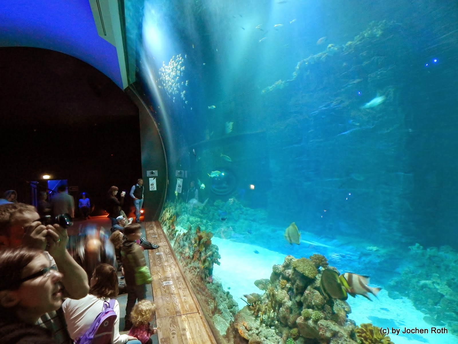 Besuch des Tropen-Aquarium Hagenbeck im Tierpark Hagenbeck Hamburg
