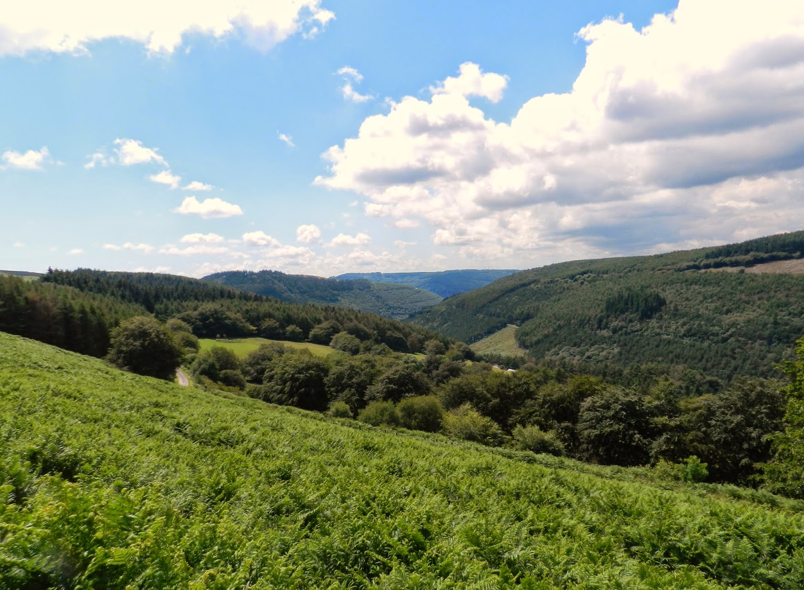Forest Drive Cwmcarn
