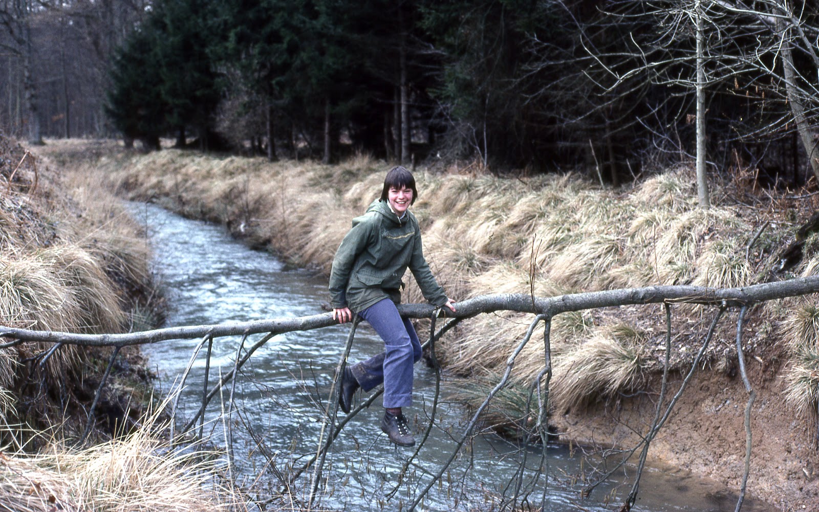 The Dean Field Studies Centre: Dean Field Studies Centre 40th ...