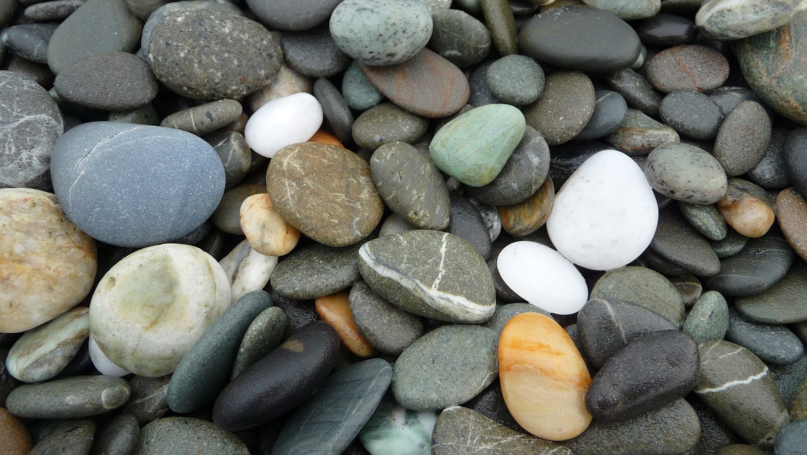 Mengenal Lebih Dekat Seni Terrarium - Radarhijau