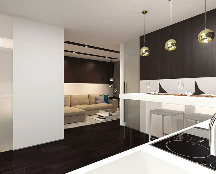 Small 40 Square-Meter Apartment Design Optimized by Tomas Belica - 99create