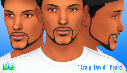 The Black Simmer: Craig David Beard by Hella Good Sims