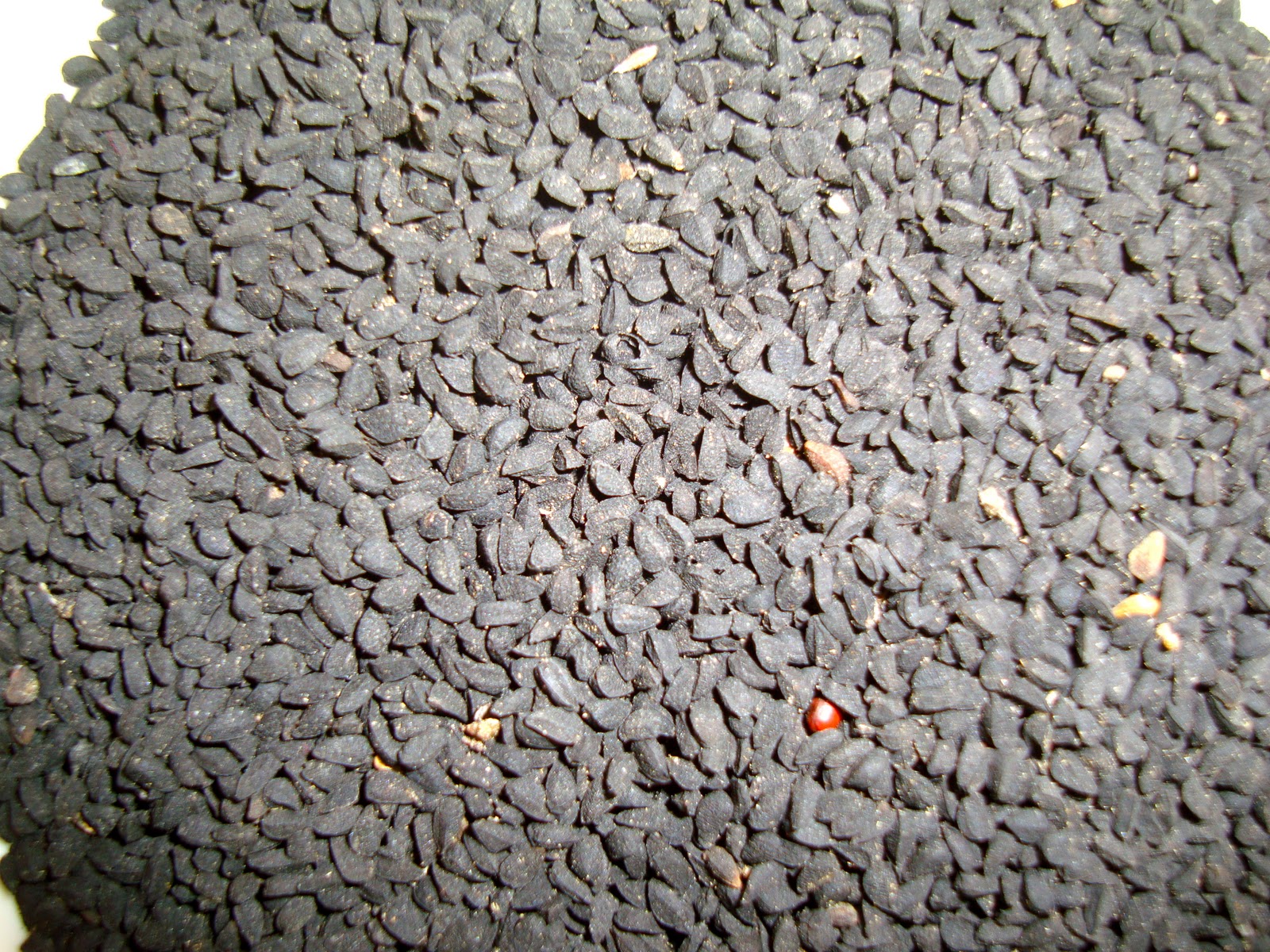 Taste of Nepal: Nigella Seeds - Mungrelo, Mugrelo - (मुग्रेलो, मुन्ग्रेलो)