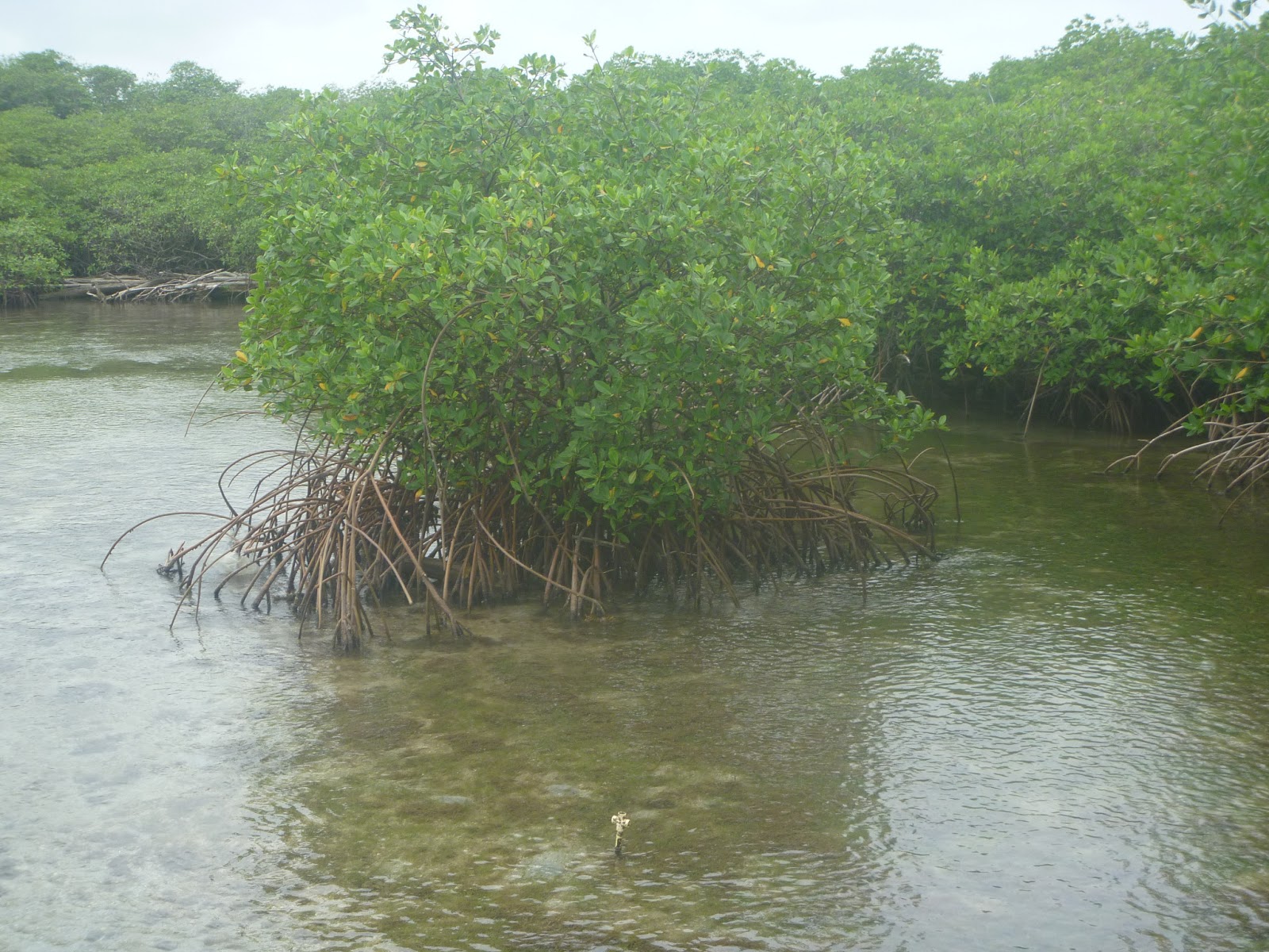 Eco Gira 2013: marzo 2013