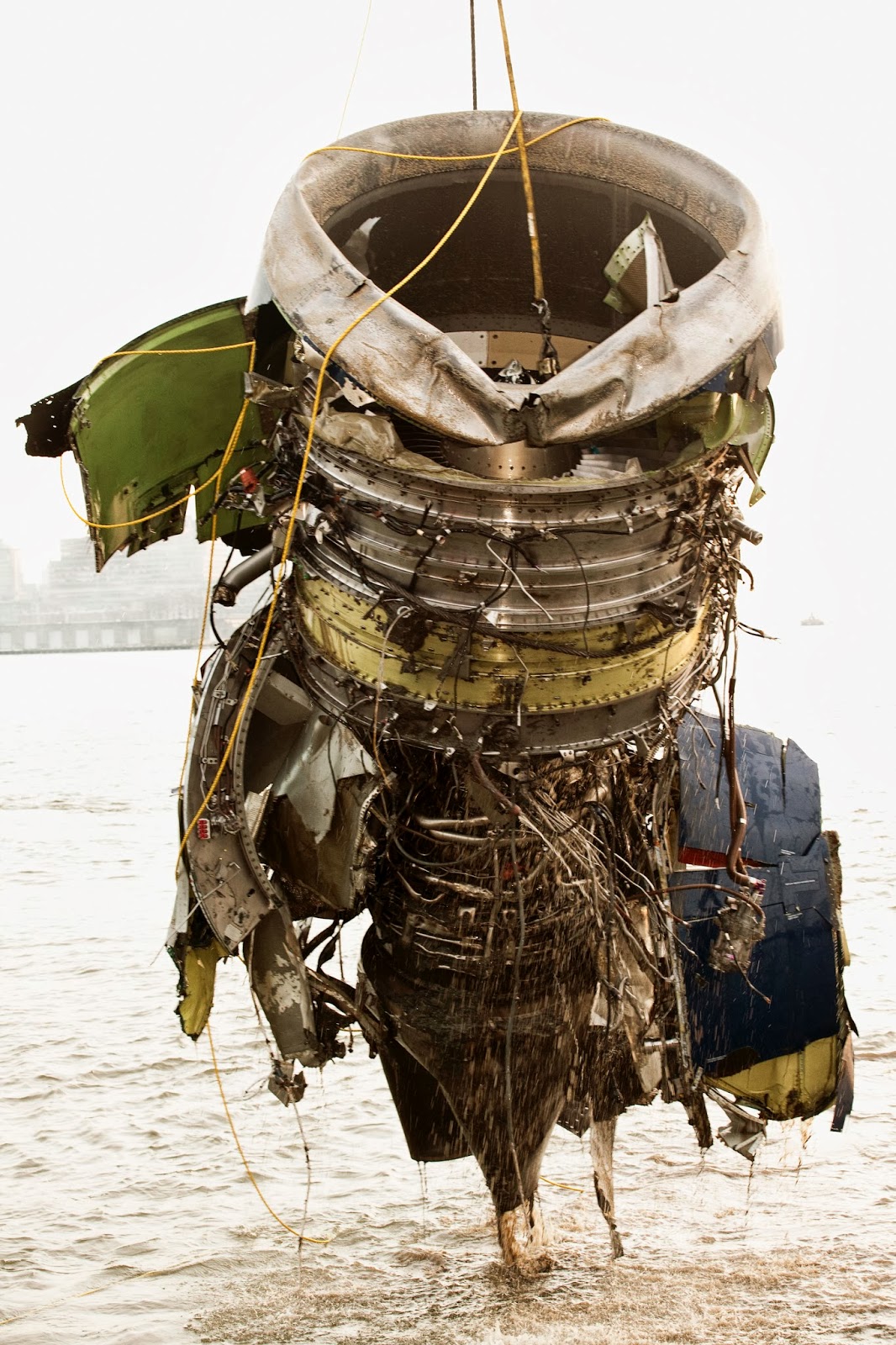 ELIZABETH AVEDON JOURNAL: STEPHEN MALLON: The Salvage of Flight 1549