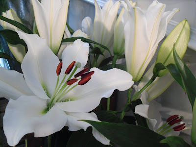 Flowers in Bloom: March 2012