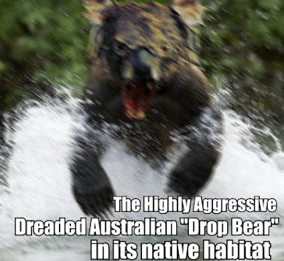 Mal's Gherkin Pram: Drop Bear Awareness