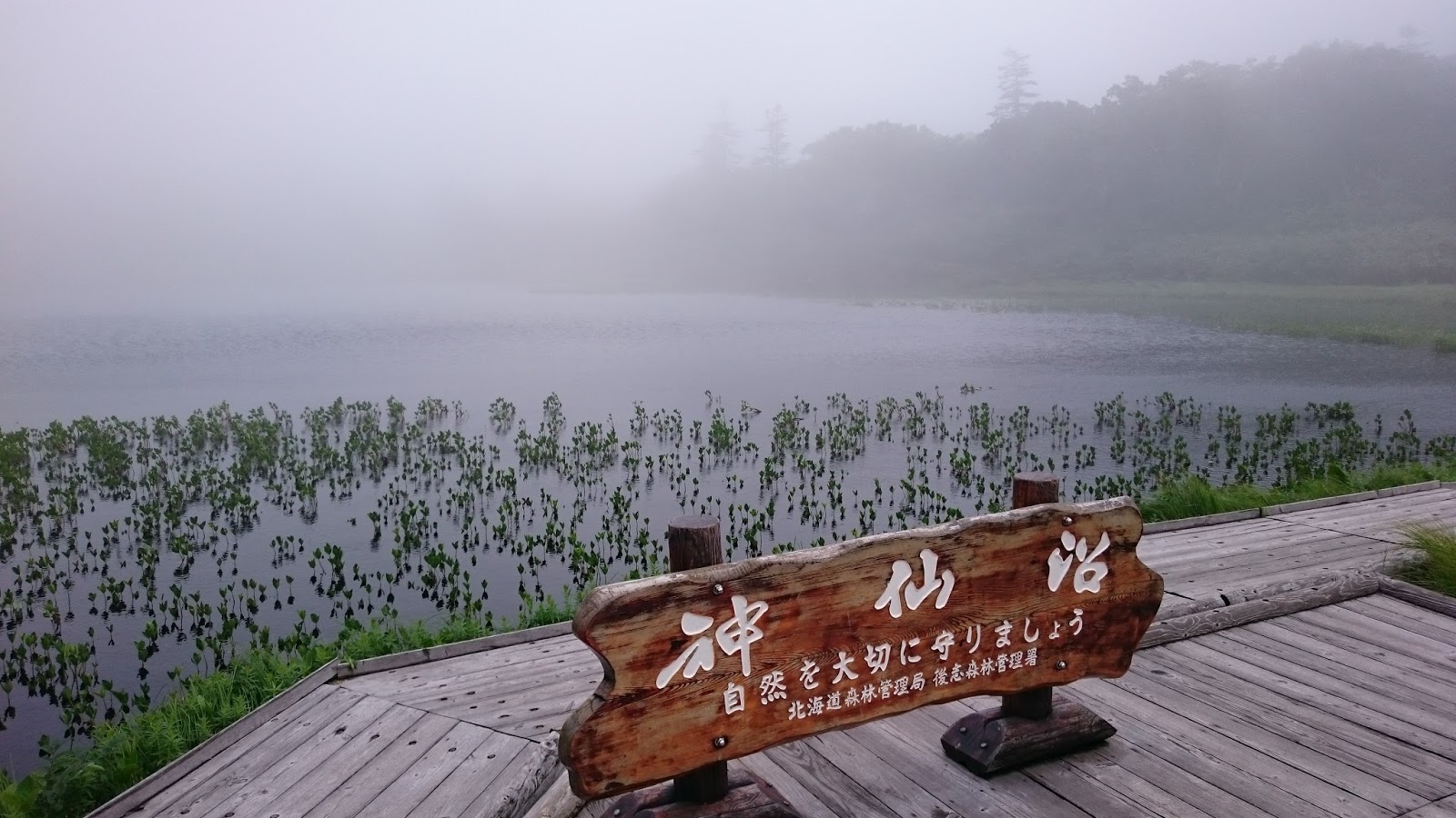 talk-hokkaido: Shinsen-numa Marsh 3