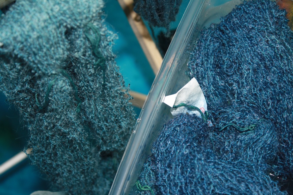 Random Acts of Color: Woad vs. Indigo: Here's What Happens When You ...