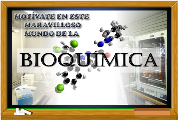 mundo quimica: BIOQUÍMICA