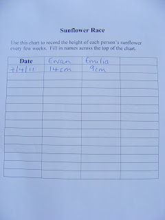 Adventures @ Play: Sunflower Race