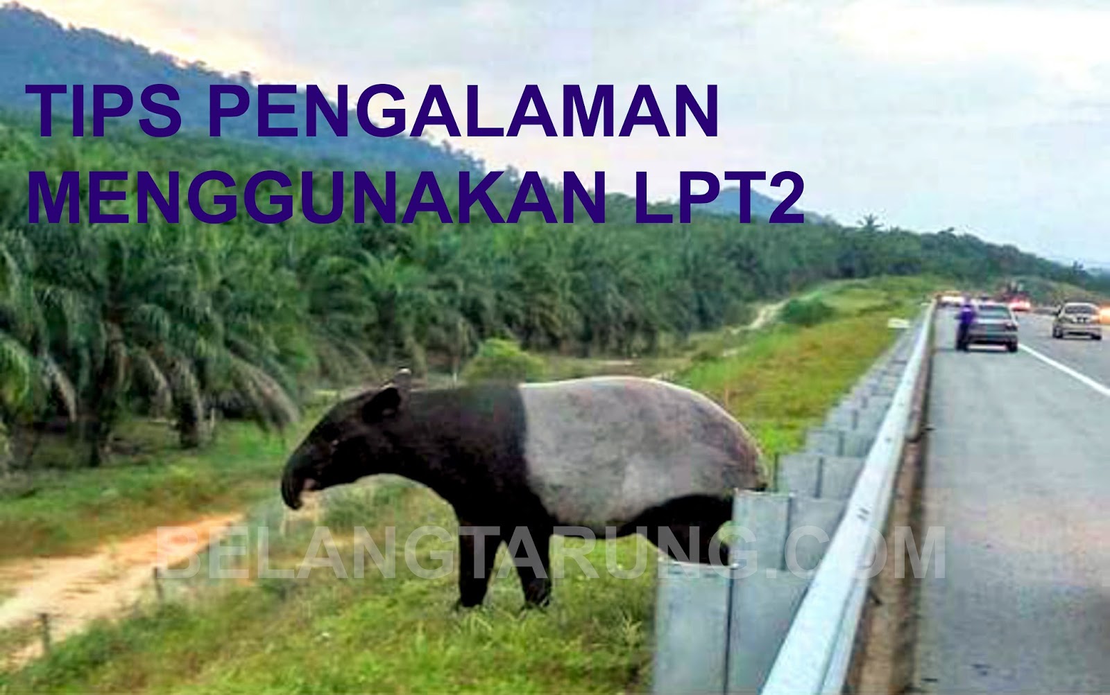 Tips Menggunakan Lebuhraya Pantai Timur 2 (LPT2)