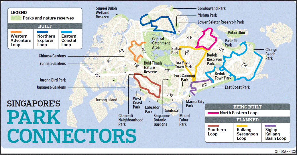 wildsingapore news: Singapore Park Connectors: cyclists can wheel out ...