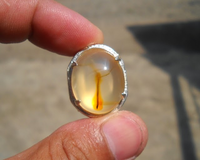 19+ Gambar Pohon Ke Ring