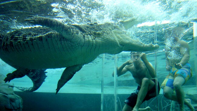 Outback Snack Australia: Crocodile dive