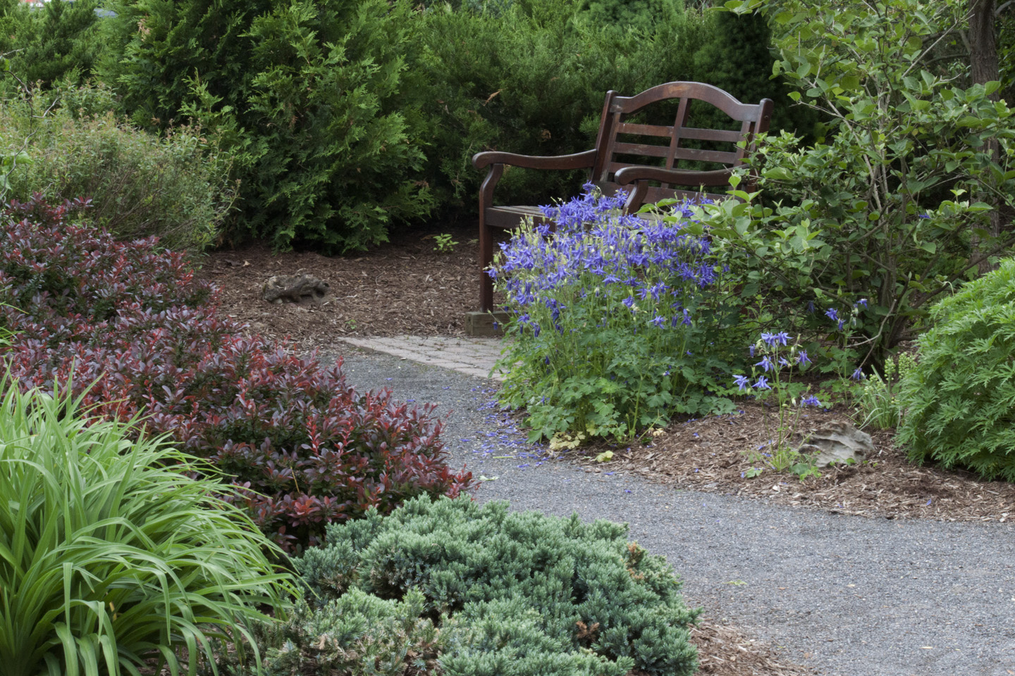 Prayer Gardeners blog: Design Garden Prayer Rooms With Inviting Paths