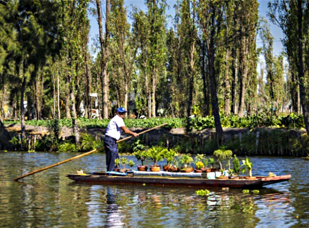 Mexico Calling: Racing To Save Mexico City's Floating Gardens
