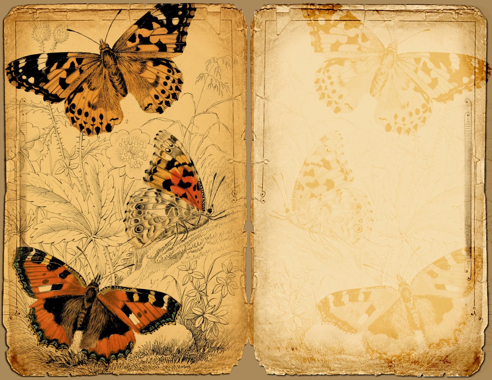 Create with TLC: Butterflies, Bees and Bugs....Plus a Freebie