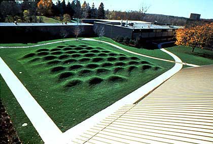 Art Now and Then: Maya Lin
