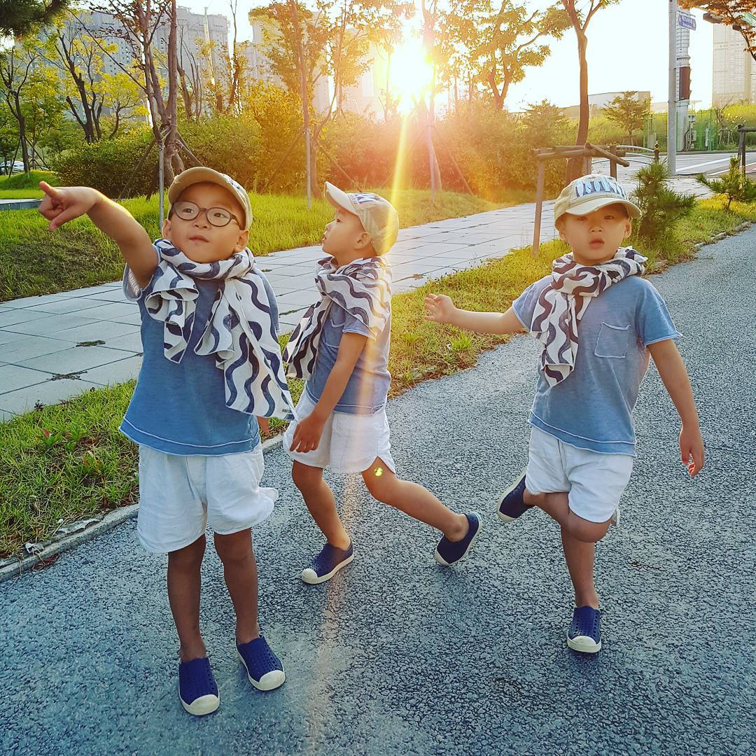 Daehan, Minguk and Manse Enjoy Sunlight, Bring Joy With Their Speedy ...