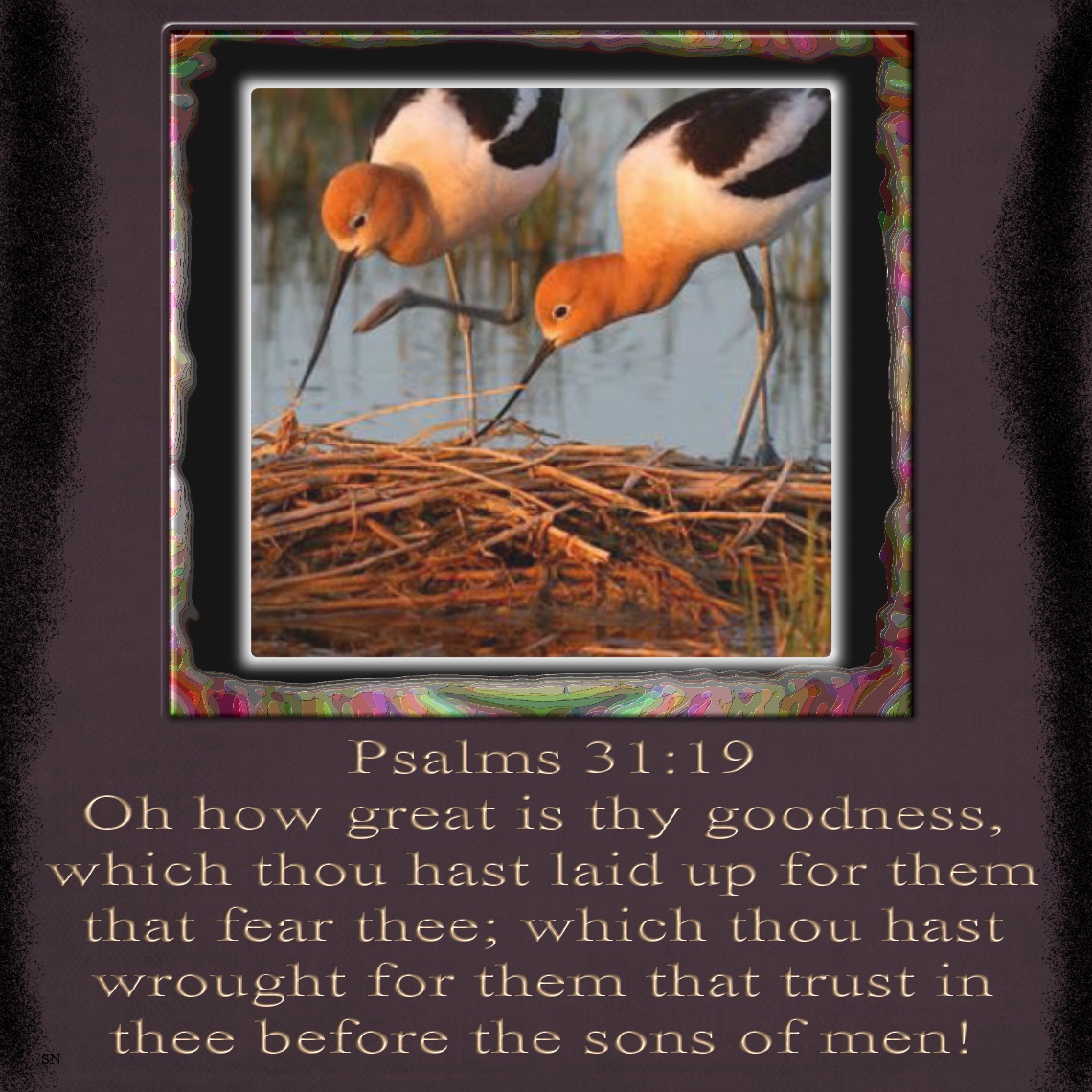 Psalms 31 19 psalms-31-19