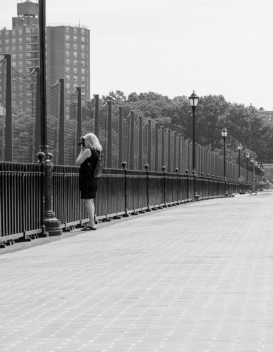 The High Bridge -- Its Past, Present & Future: Photographer Roy Levit ...