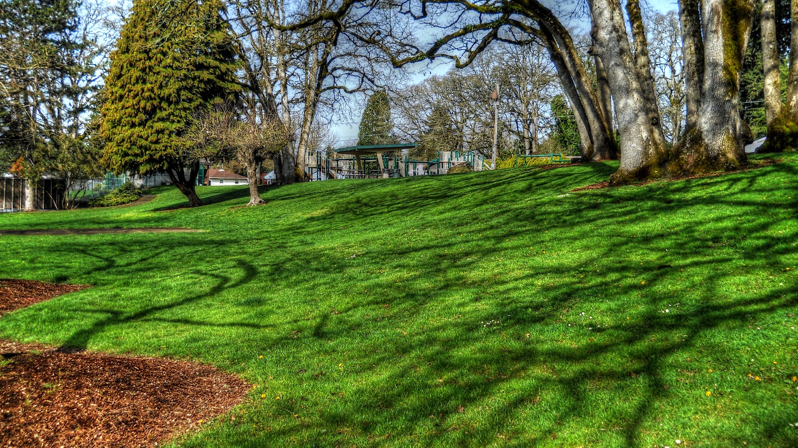 Thom Zehrfeld Photography : Gladstone Parks