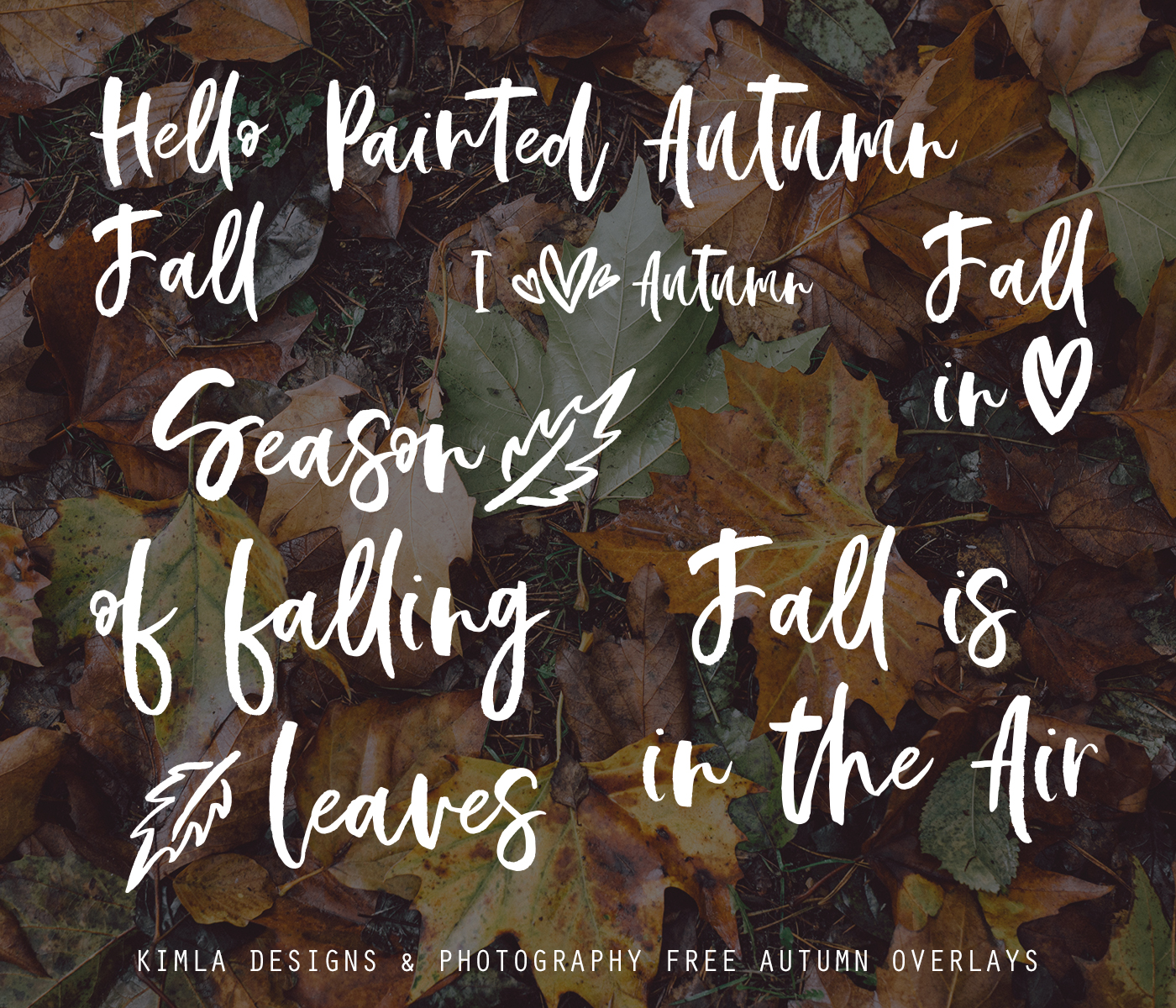 Free Autumn Overlays for Photographers - Kimla Designs Photography