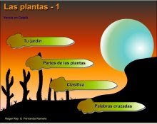 Las plantas: características y clasificación : El carretillu