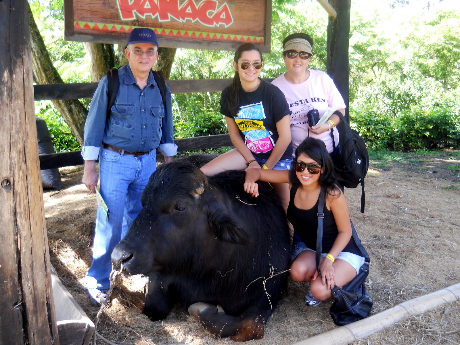 Mi aventura en Colombia: Panaca