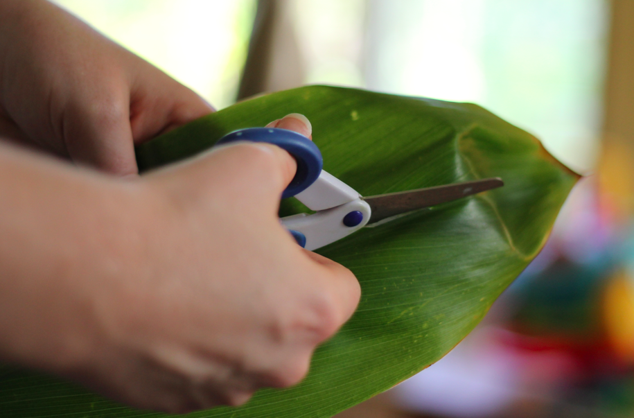 Sail by the stars: Making a ti leaf lei