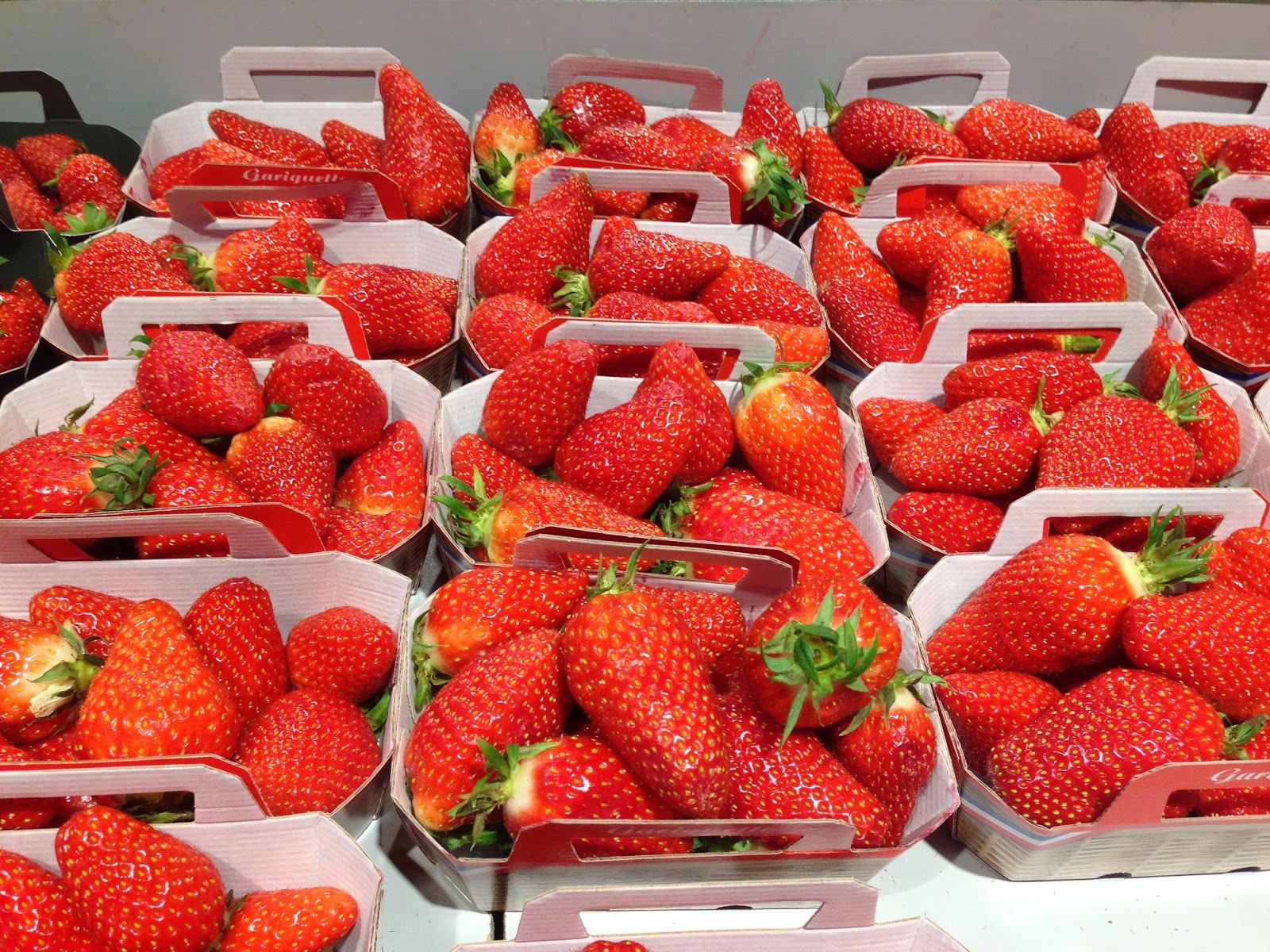 Sophie's absolutely wonderful Scots Adventure .: The first strawberries ...