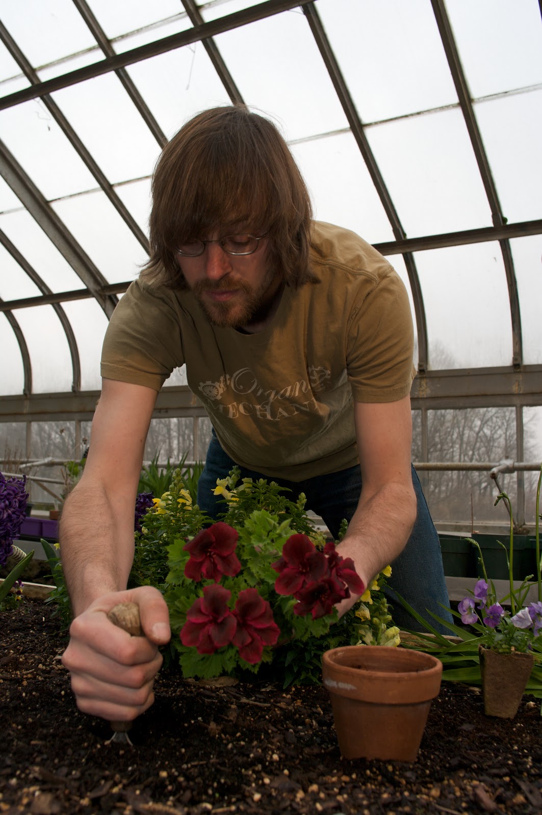 The Garden Plot: November 2011