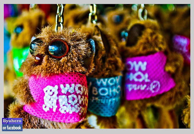 Byahero: Bohol Souvenirs and Handicrafts