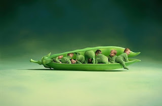 Cuisine en folie: Purée de petits pois , carottes, haricots mange-tout ...