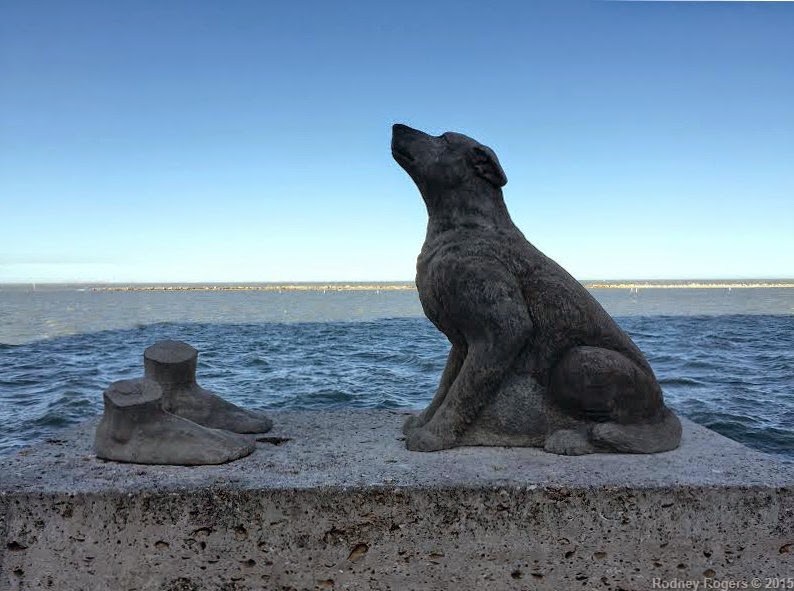 art v.2: Art Museum of South Texas