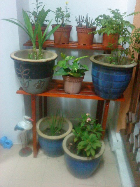 16+ Gambar Rak Bunga Teralis, Spesial!